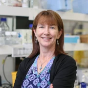 Tracy Bryan | About | The University of Sydney